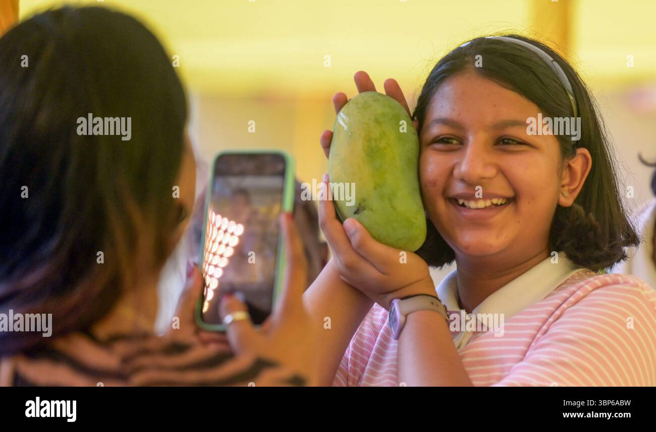 NEW DELHI, INDIA - JULY 5: Varieties of mangoes are displayed at the ...
