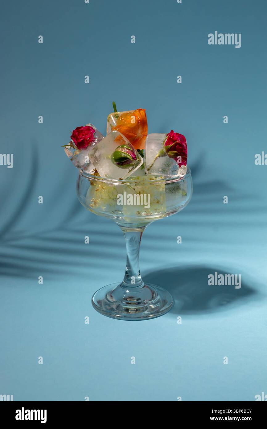 Colorful flowers in ice cubes in the glass on pastel blue background ...