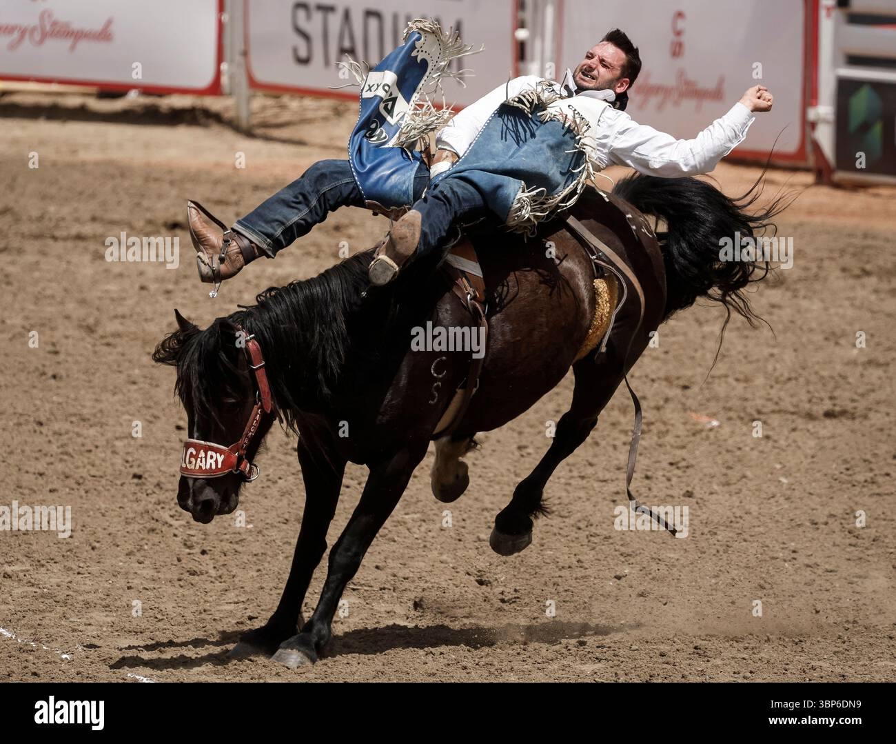 Taylor Broussard, of Estherwood, La., rides Forgetfull Nelly during ...