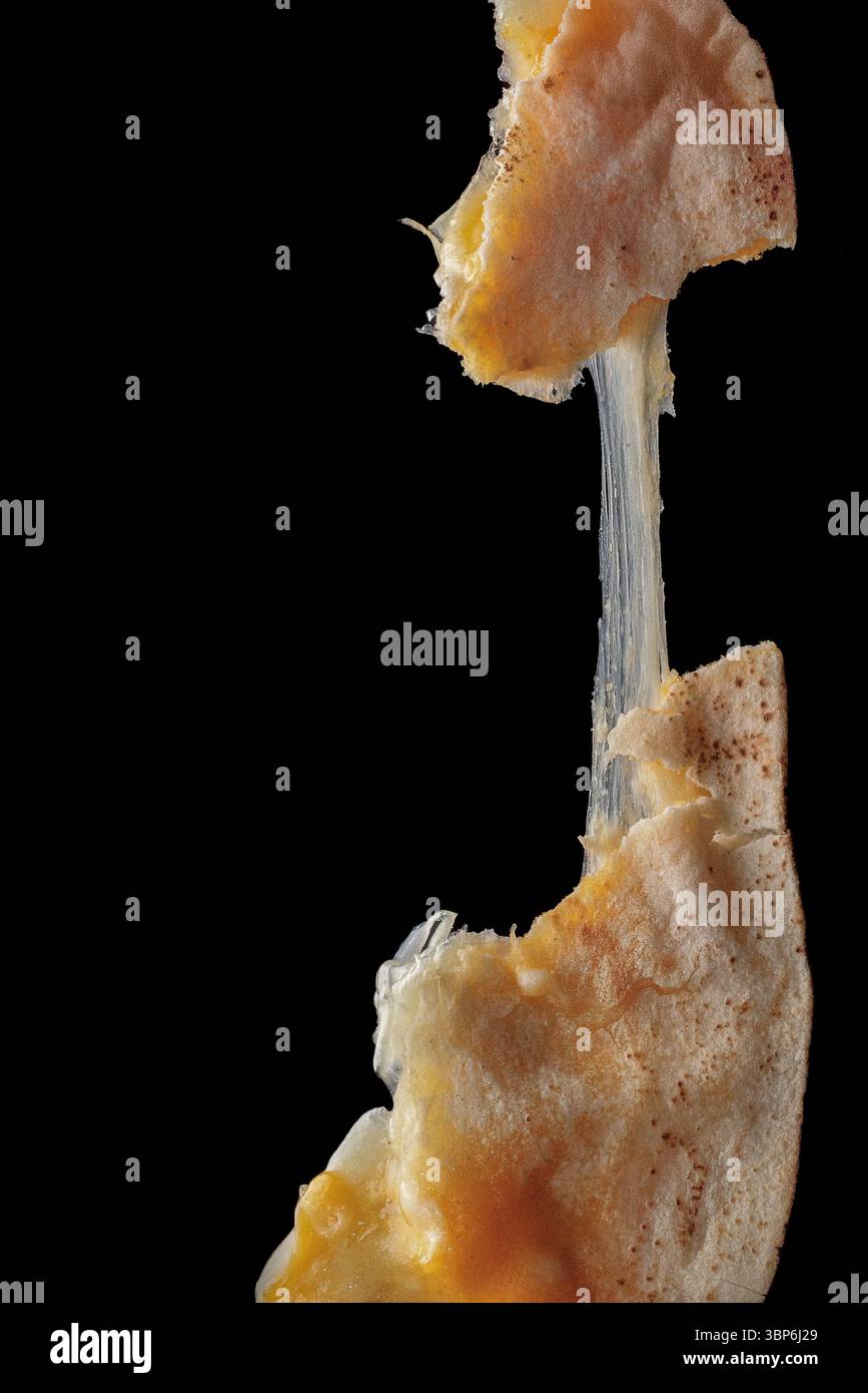 Melted kashkaval cheese stretching between two pieces of flatbread on ...