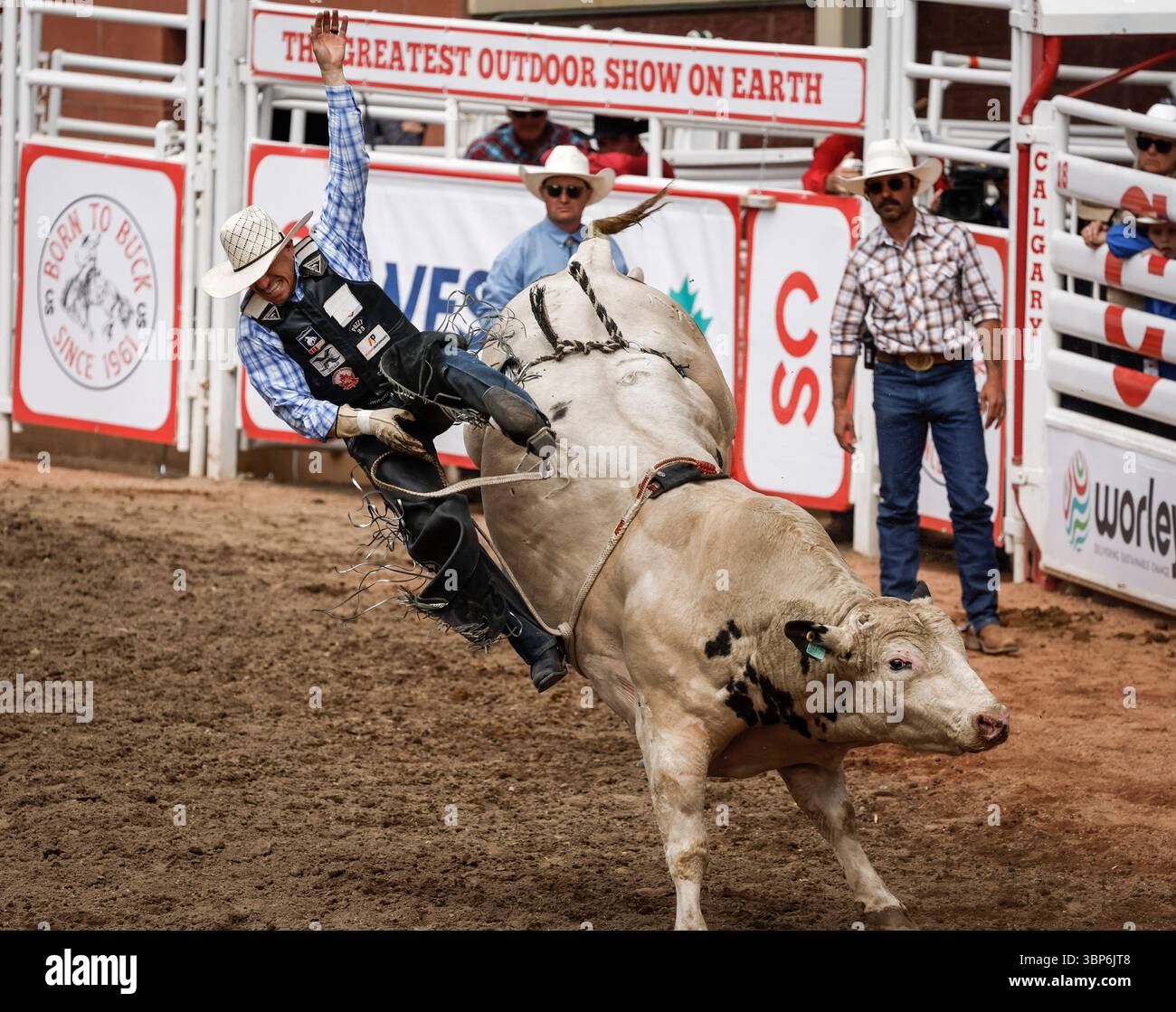 Edgar Durazo, of Moctezuma, Mexico, is bucked off Babamba during bull ...