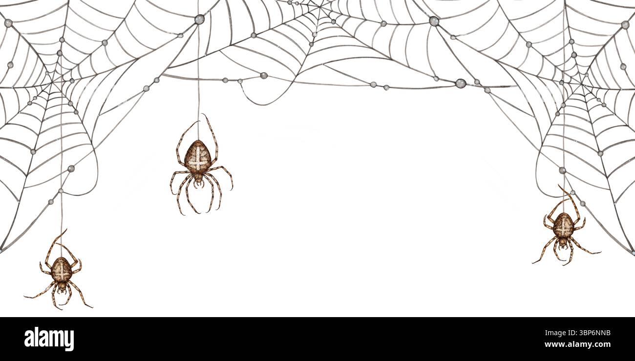Black spider web with beads and spiders banner for halloween party ...