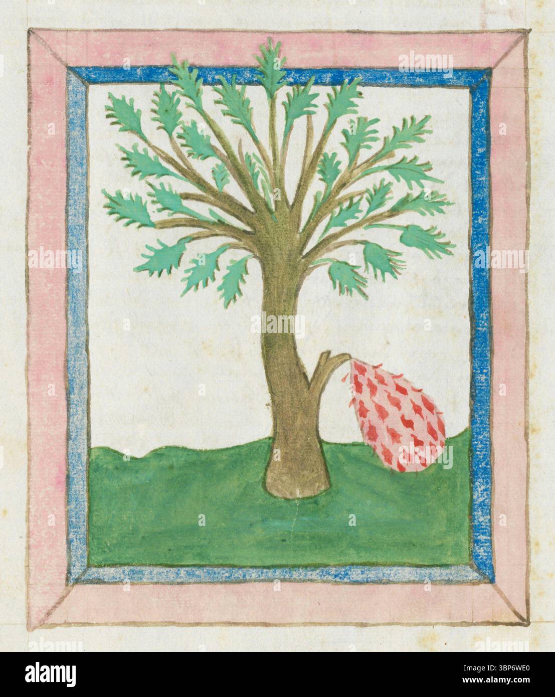 Herbs medicinal plants botanical illustration hi-res stock photography ...