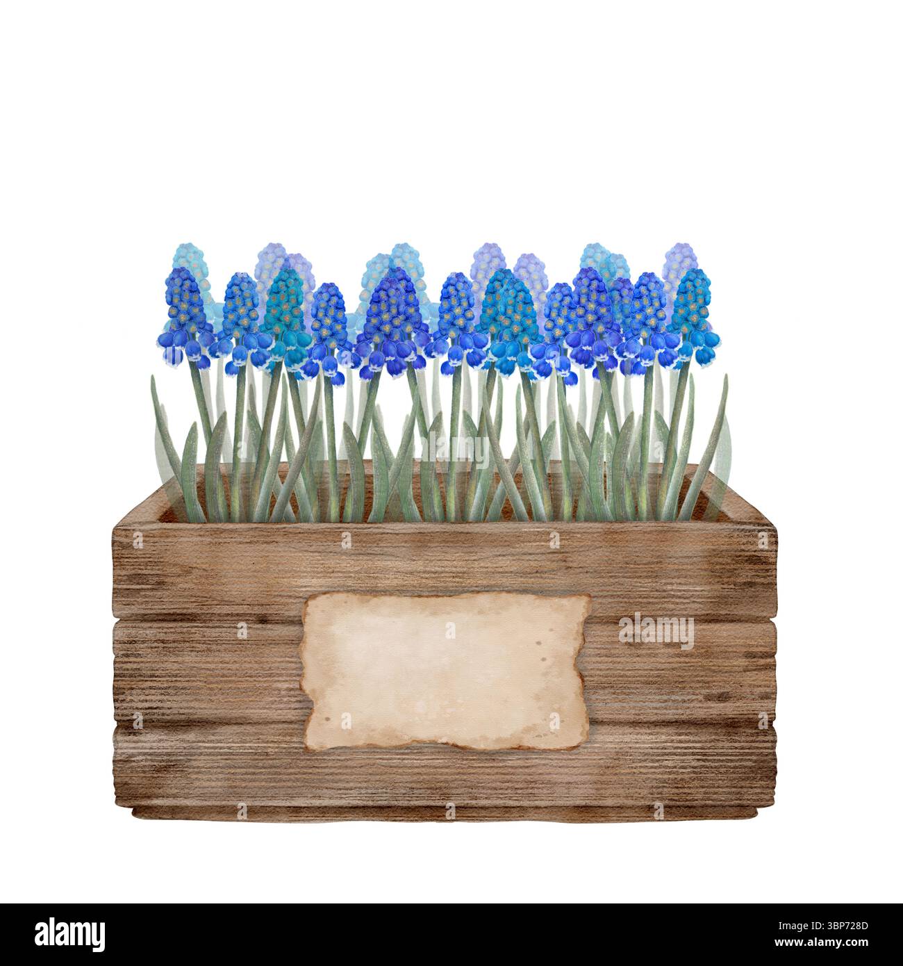 Greenery filled Cut Out Stock Images & Pictures - Alamy