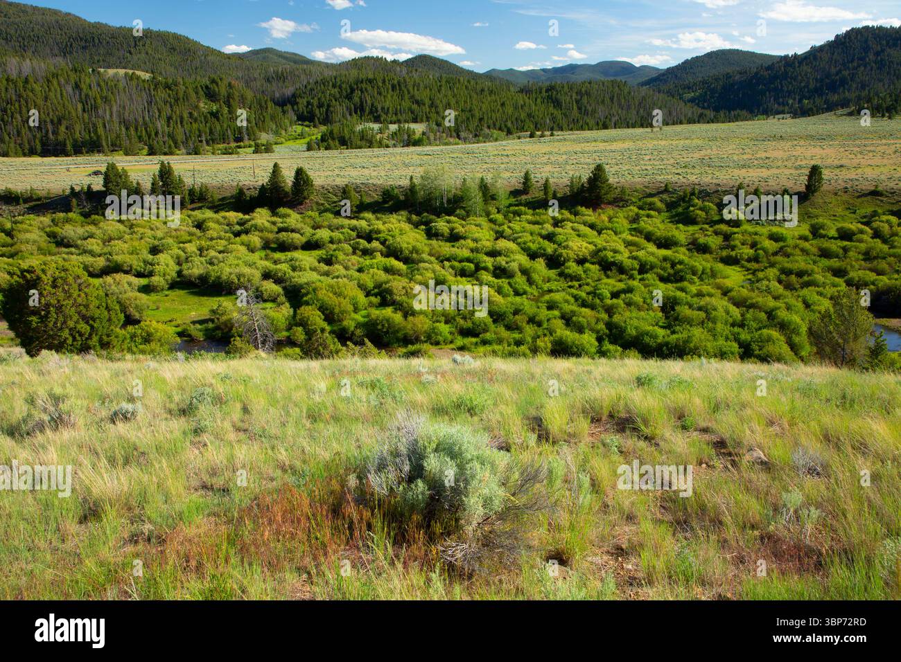 Boulder River valley, Beaverhead-Deerlodge National Forest, Montana ...