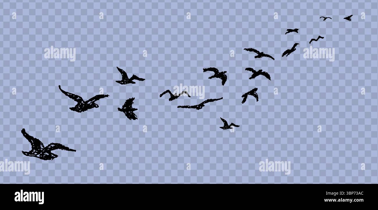 Flying bird vector png hi-res stock photography and images - Alamy