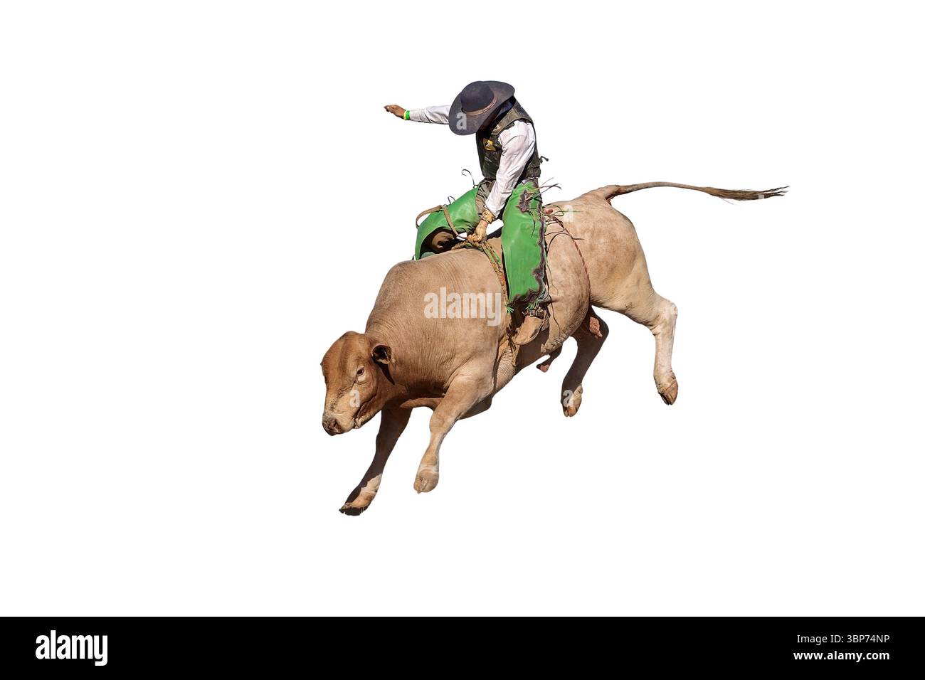 A cowboy rides a bucking bull at a country rodeo, captured mid-action ...