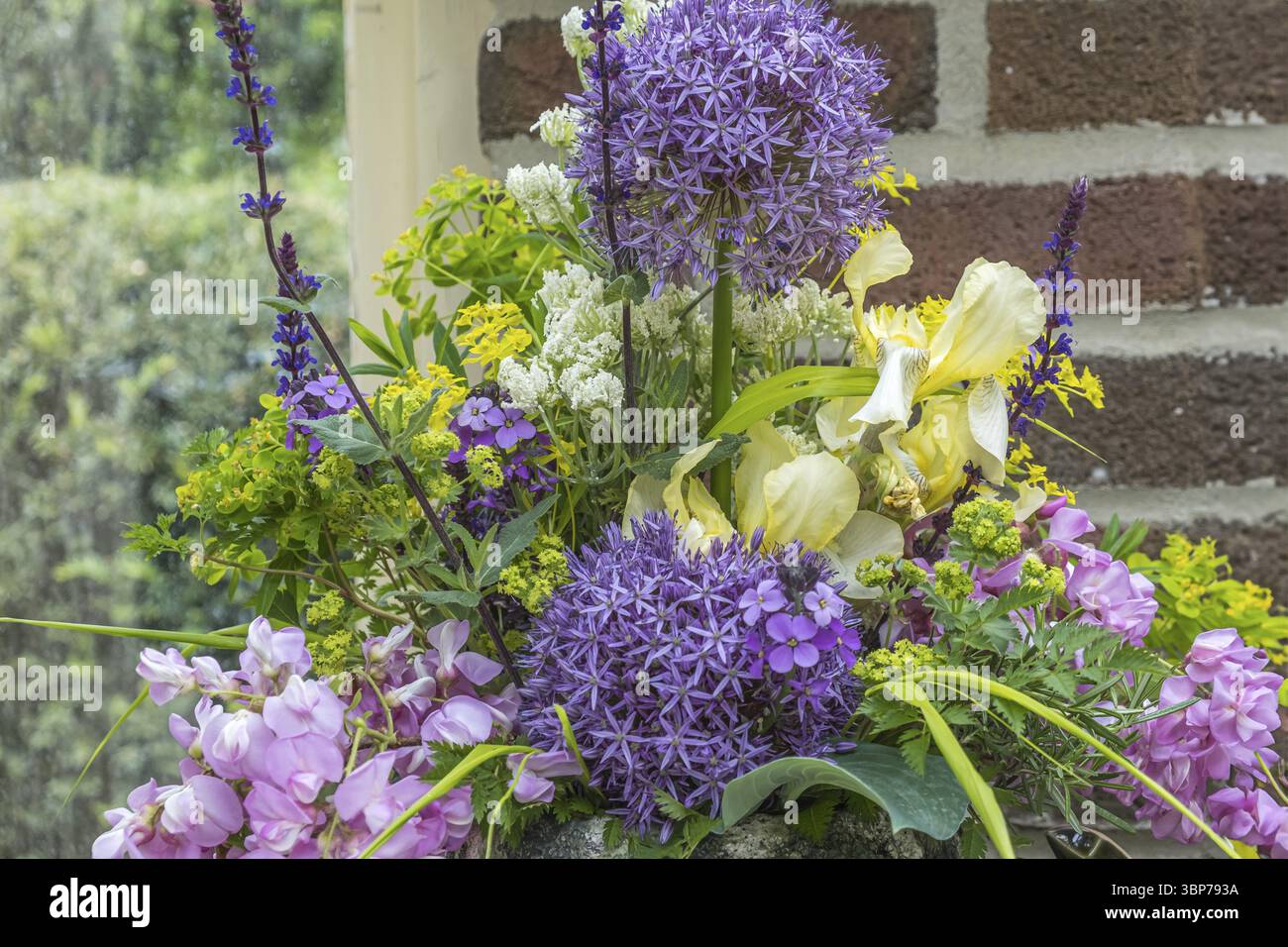 Bouquet with allium, iris and robinia, North Rhine-Westphalia, Germany ...