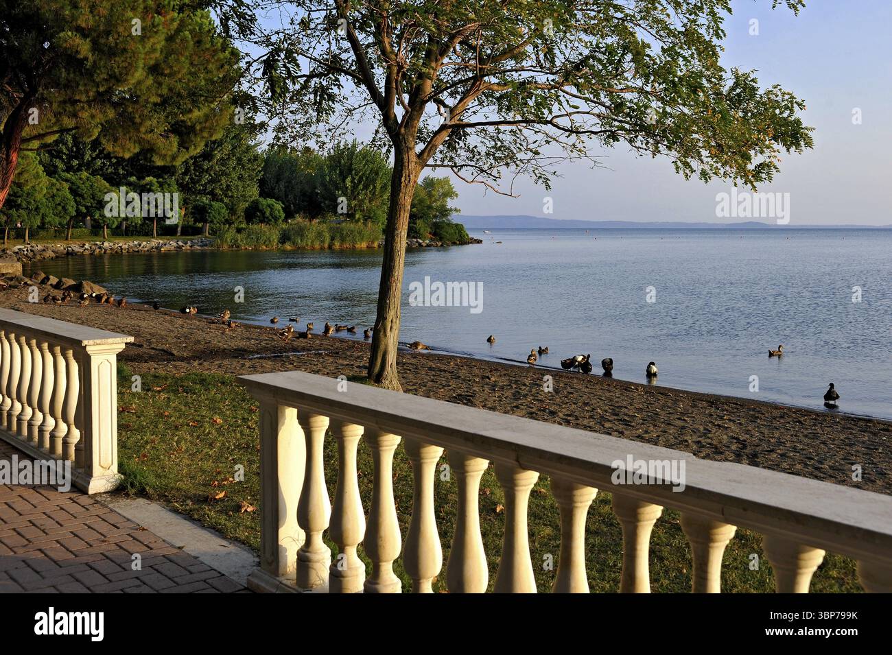 Lake promenade, balustrades, beach with ducks, Lake Bolsena, Lago di ...