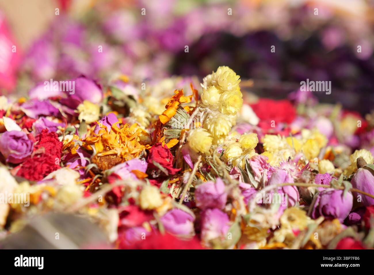 Elements bouquet dried flowers hi-res stock photography and images - Alamy