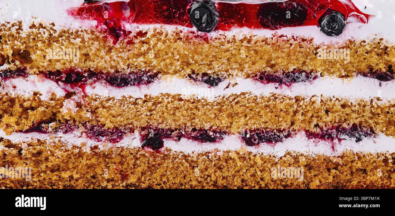 Food, Close up of a delicious berry layer cake showing the different ...