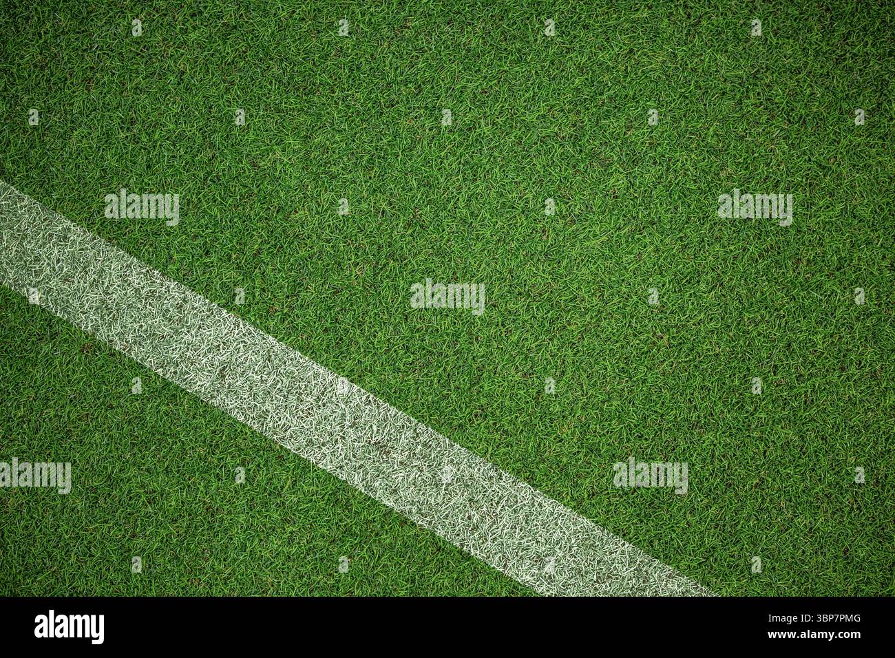 White painted diagonal line marking is being shown on dense grass turf ...