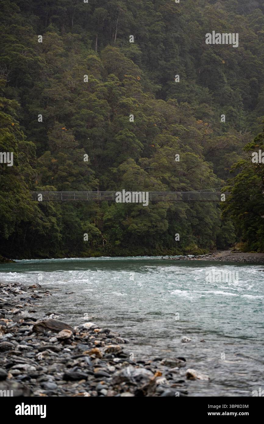 A suspension bridge spans a clear, flowing river surrounded by a lush ...