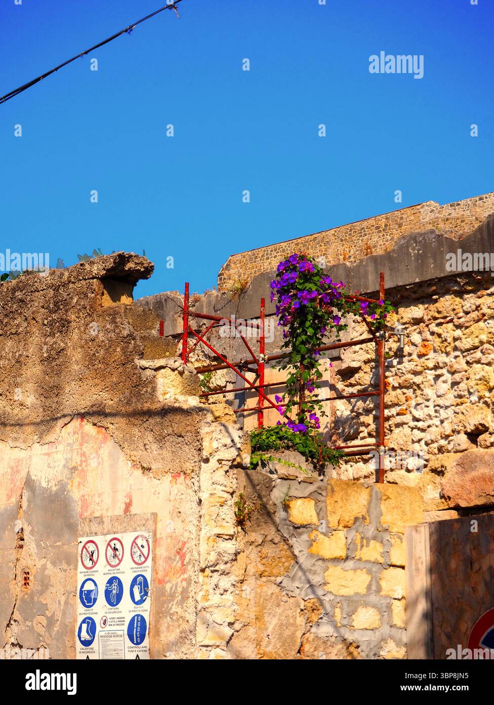 Crumbled stone wall with vibrant purple flowers in Palermo’s historic ...