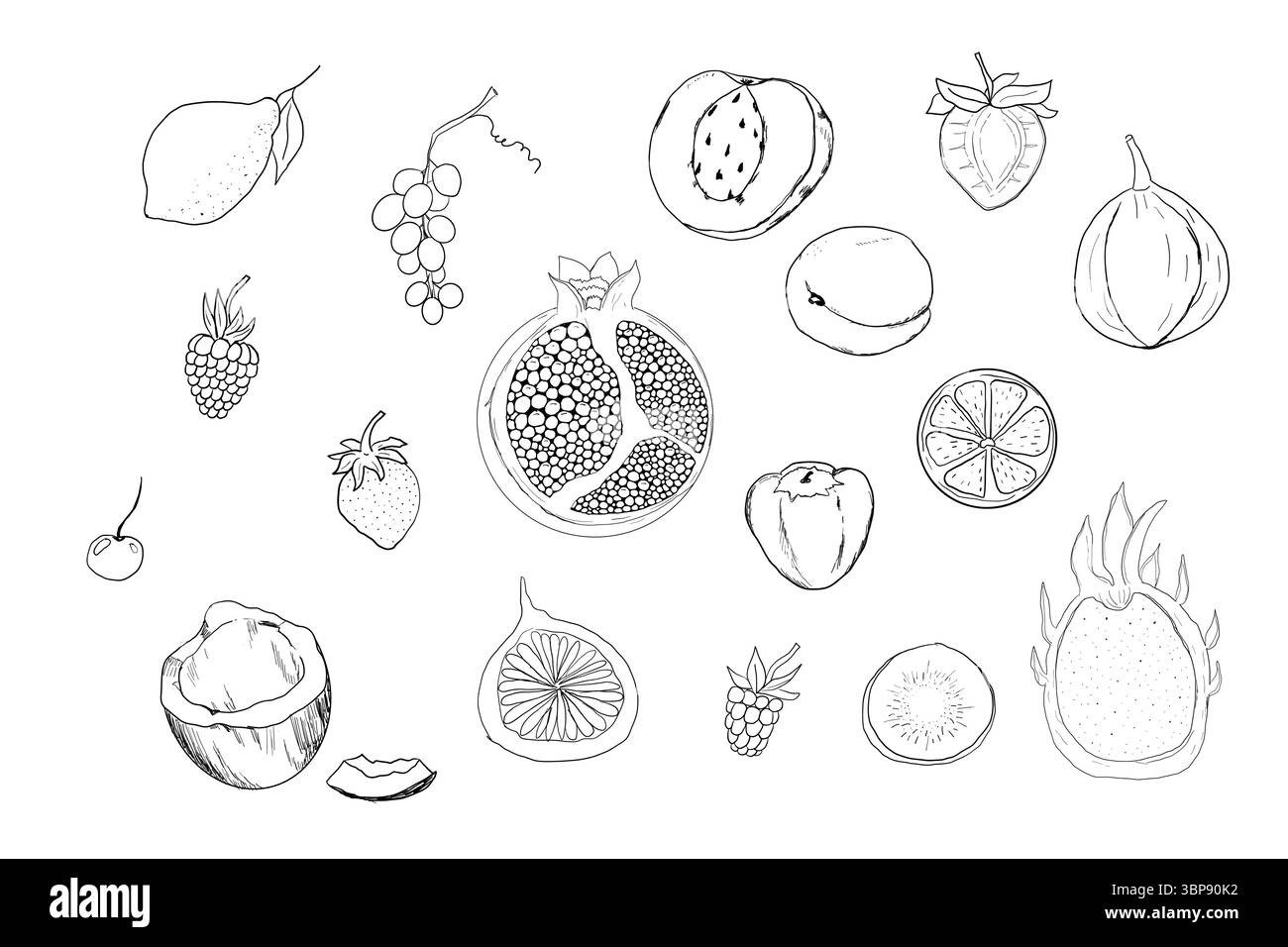Sketch set fruits, hand drawn tropical fruits and berries. Sweet fresh ...