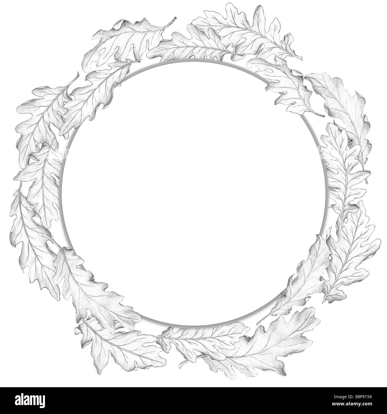 Oak leaves in a round frame on a white background. Artistic design ...