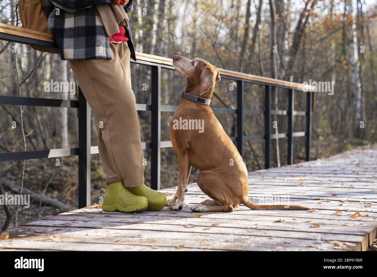 Waiting snacks hi-res stock photography and images - Alamy