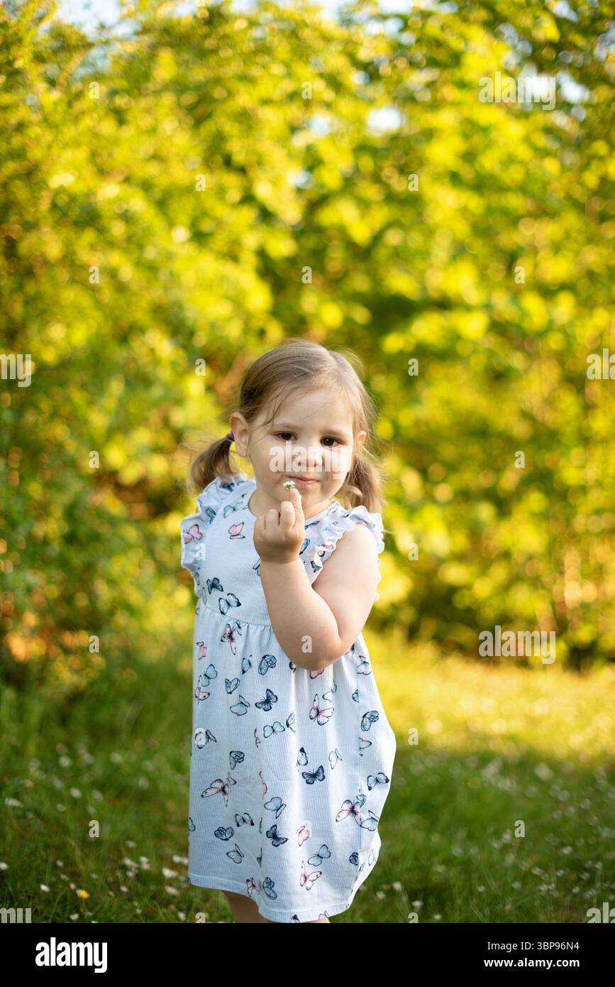 Smiling child girl holding a daisy flower near her face Stock Photo - Alamy