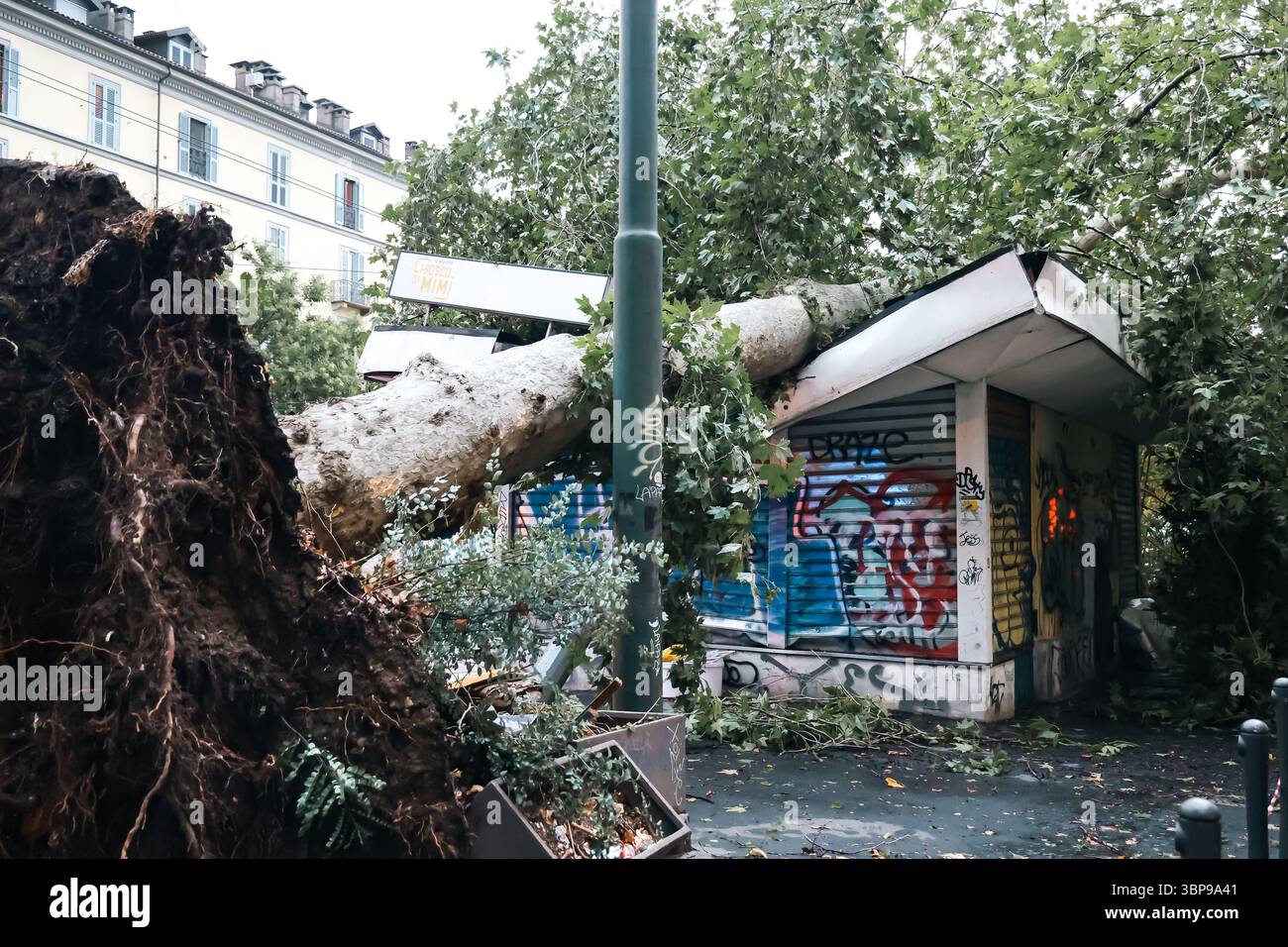 Milan, The damage caused by bad weather after the storm that hit the ...