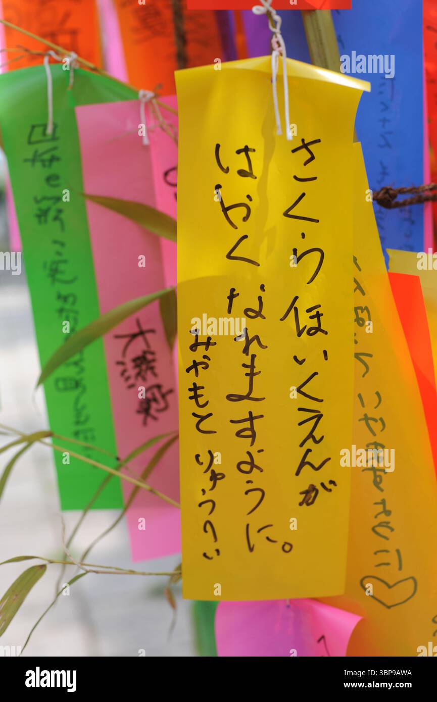 Tanabata festival (Star Festival) in Japan. Colorful paper tags called ...