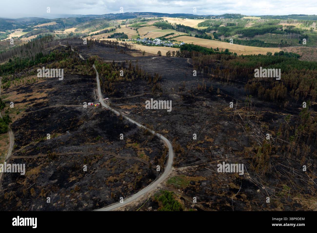 07 July 2025, Thuringia, Reichmannsdorf: Burnt trees and charred tree ...