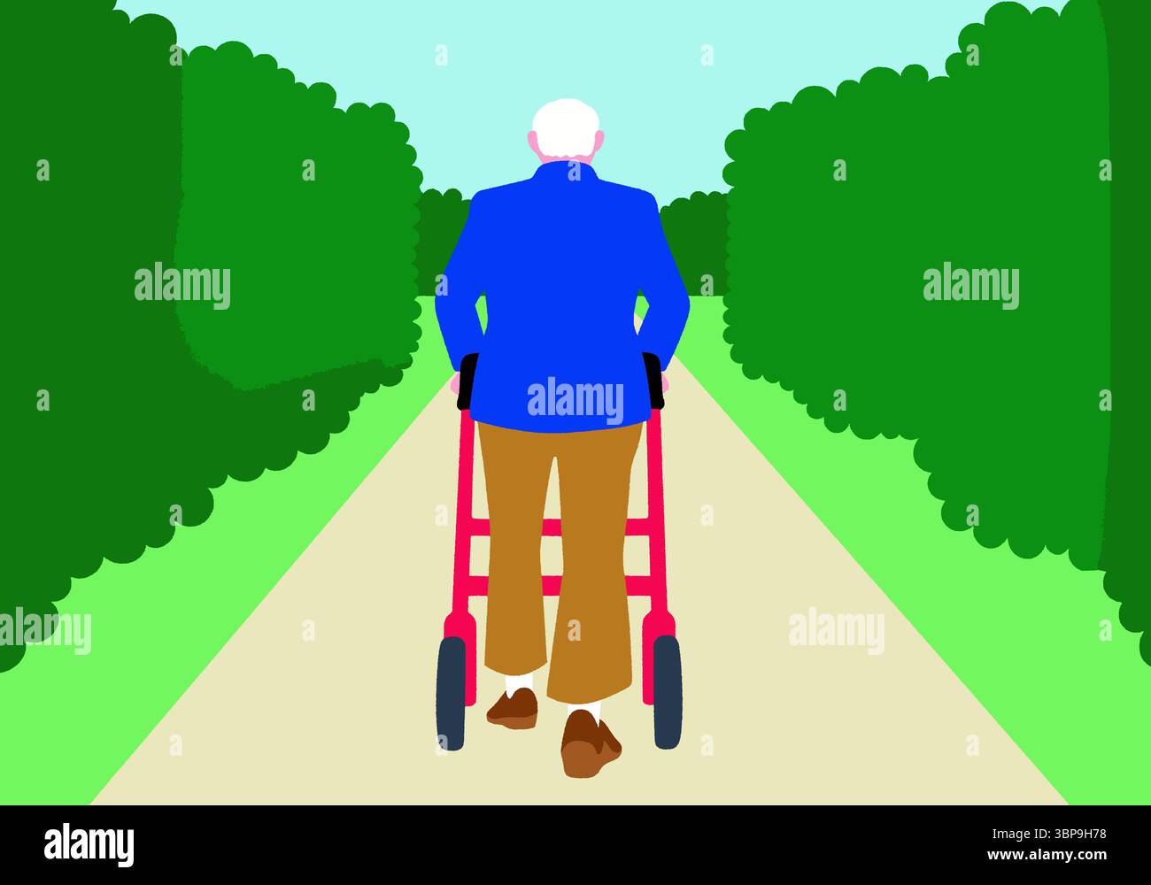 Elderly man in a blue jacket walking with a walker on a path lined with ...