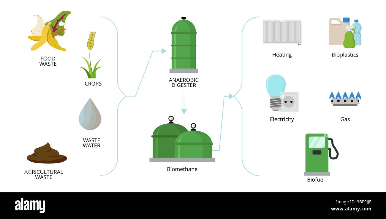 Biogas production process converting several types of organic waste ...