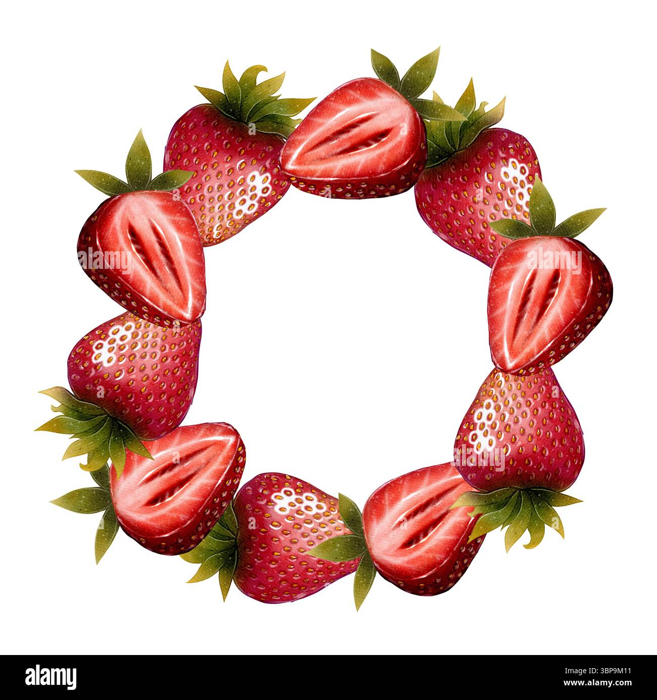 Strawberry fruit arranged in a circular wreath. Drawing created in ...