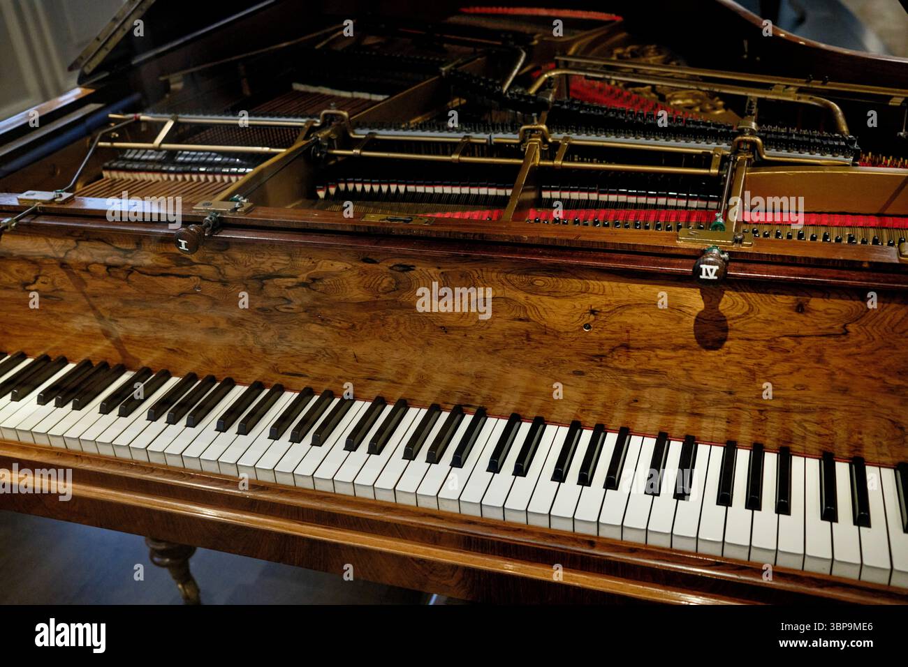 Close-up view of an open grand piano showing its strings and keys in ...