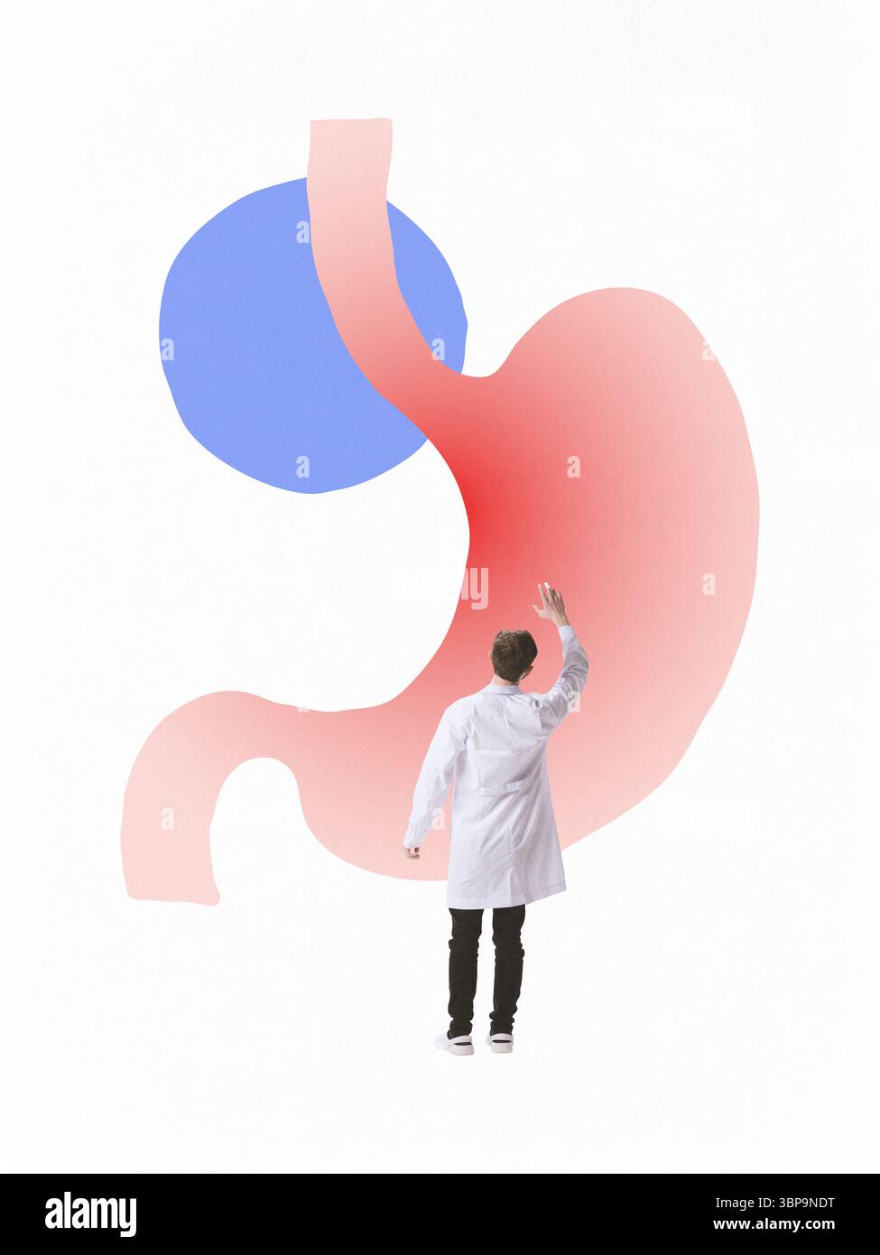 Doctor pointing to a stylized stomach with pain highlighted by a 3D red ...