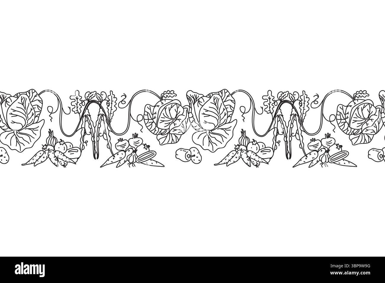 Line art botanical decorative different vegetables horizontal border ...
