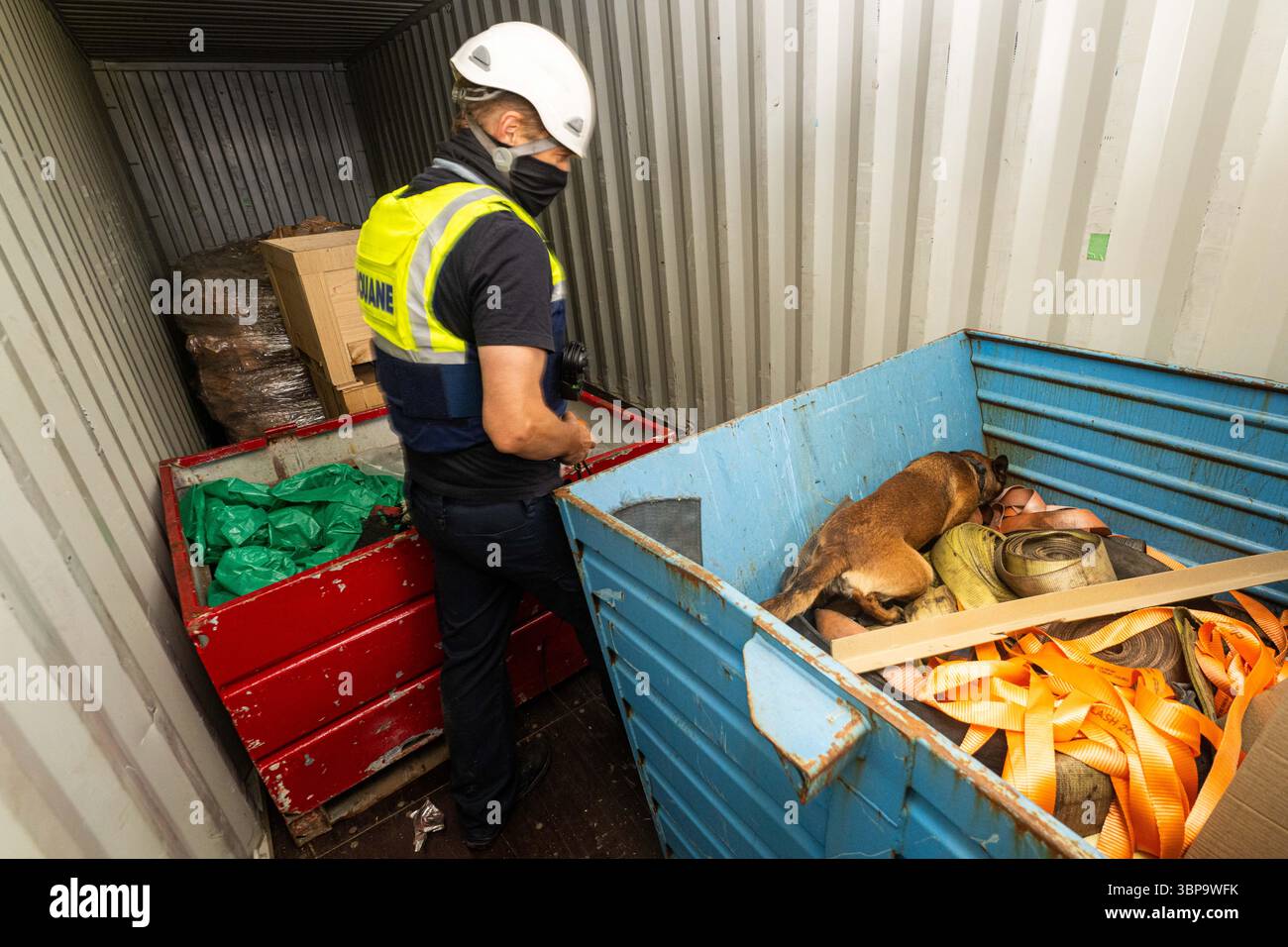 A customs sniffer dog is pictured during a demonstration at a press ...
