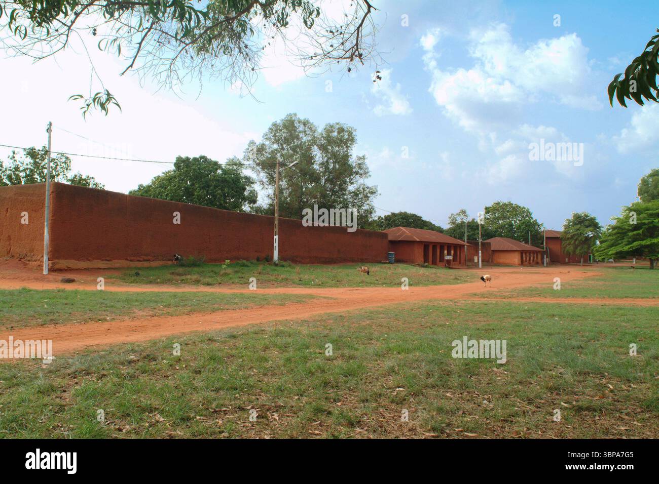 King glele hi-res stock photography and images - Alamy