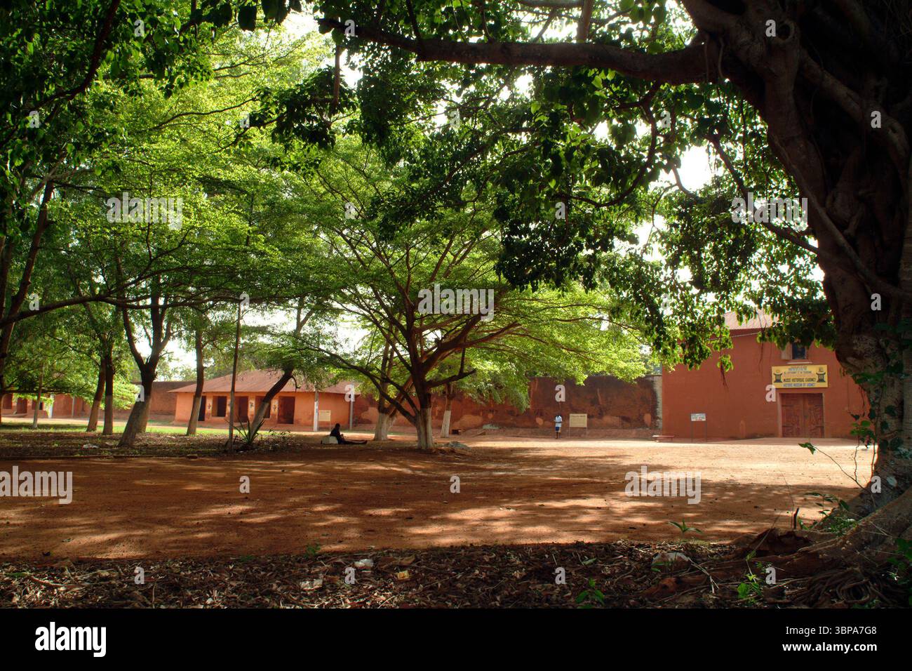 King glele hi-res stock photography and images - Alamy