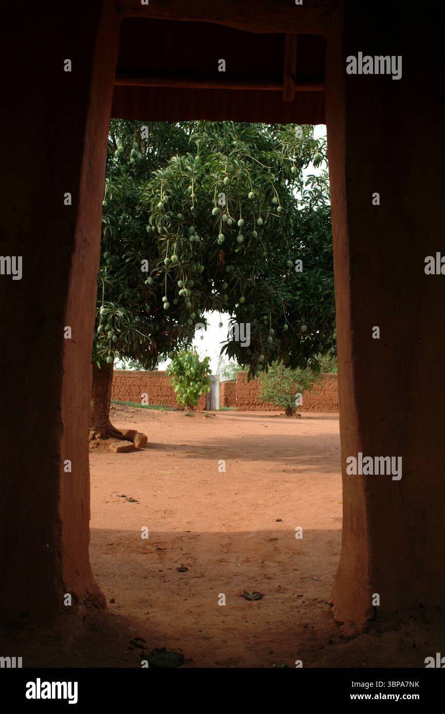 King glele hi-res stock photography and images - Alamy