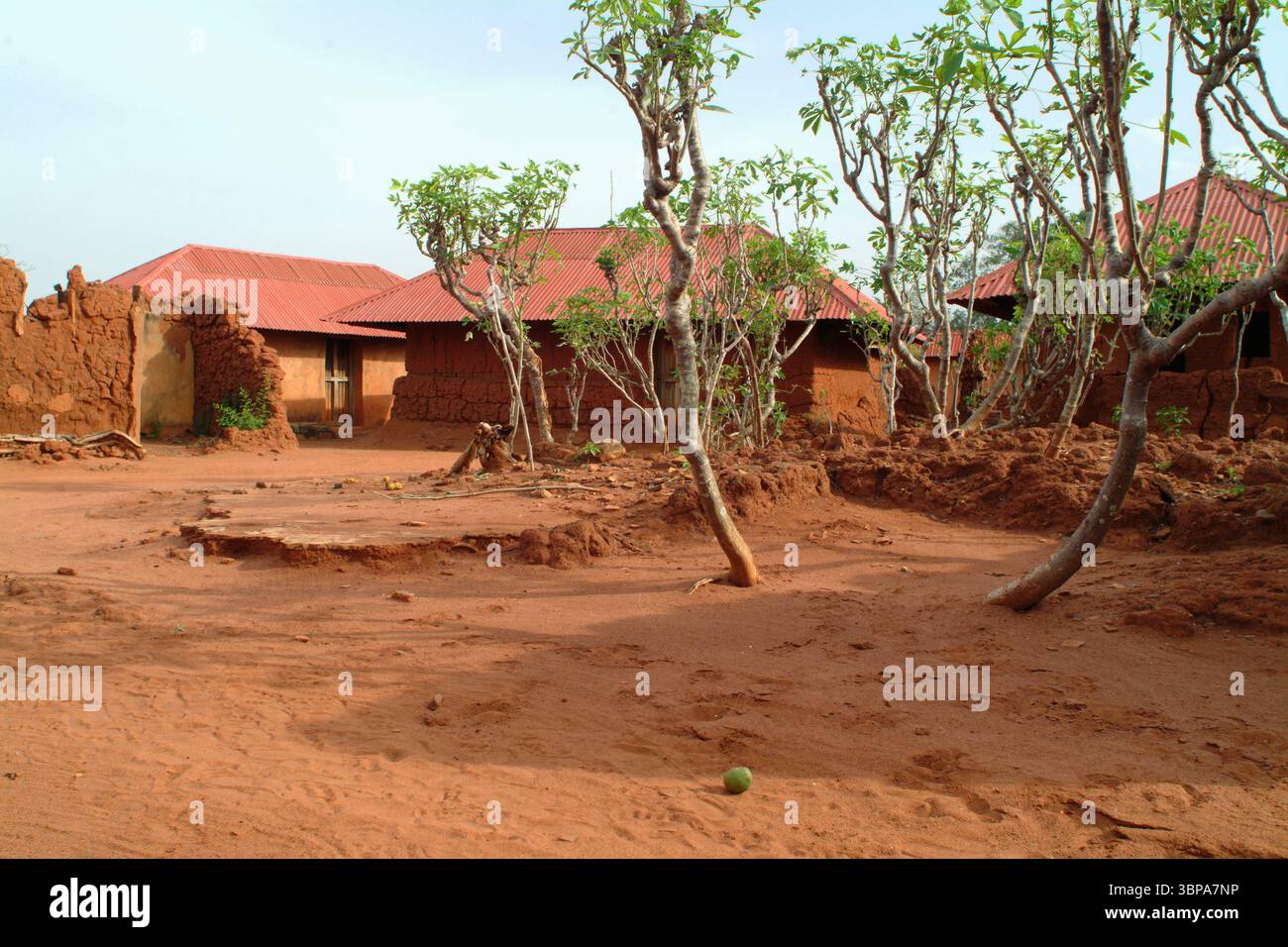 King glele hi-res stock photography and images - Alamy