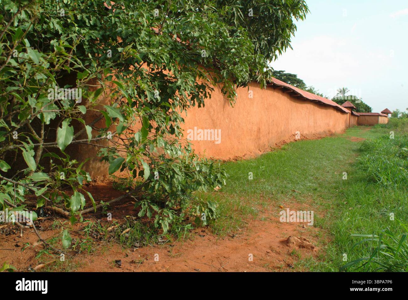 King glele hi-res stock photography and images - Alamy