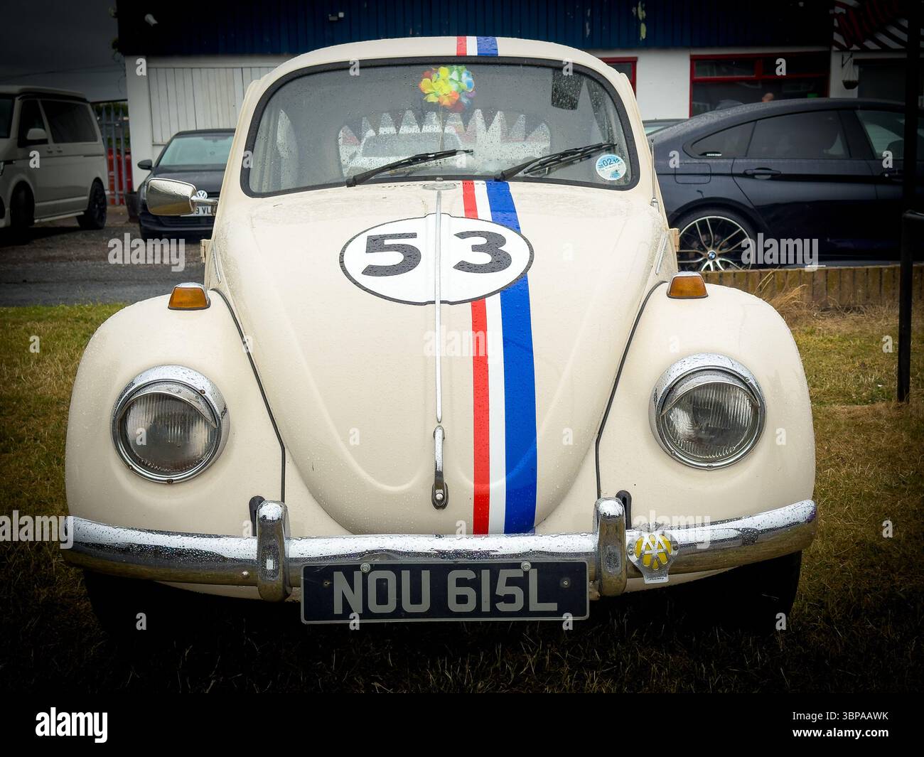 Classic Volkswagen Beetle with racing stripes and number 53 displayed ...