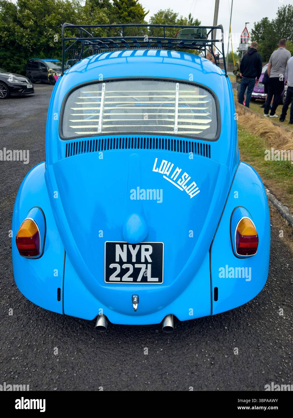 Close-up view of the rear end of a vintage blue Volkswagen Beetle with ...