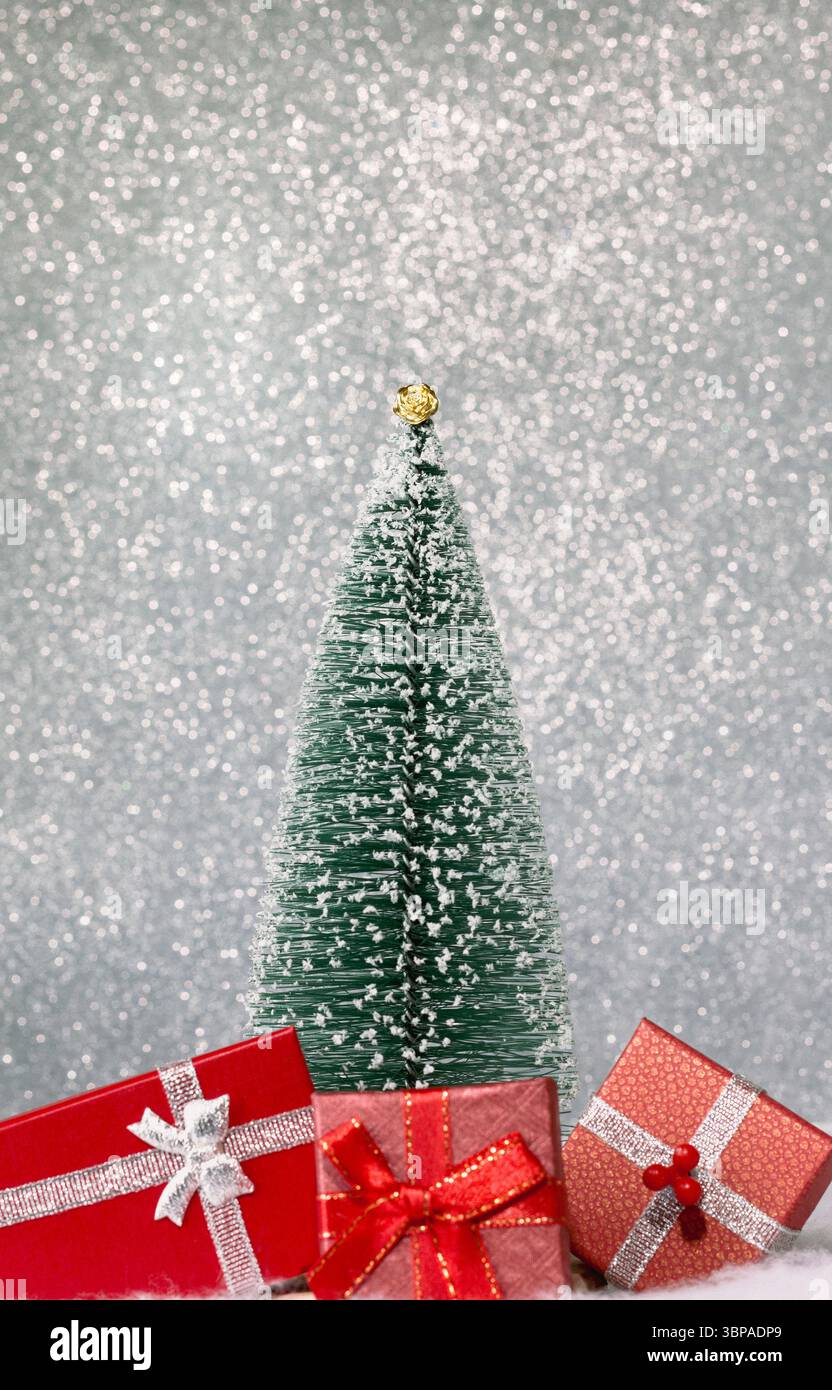 Christmas winter solstice tree hi-res stock photography and images - Alamy
