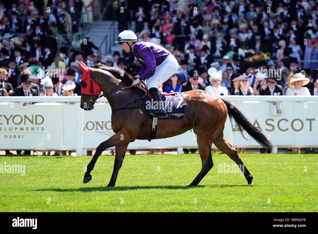 File photo dated 18-06-2025 of Flowerhead. Charlie Clover is weighing up his options on the next ...