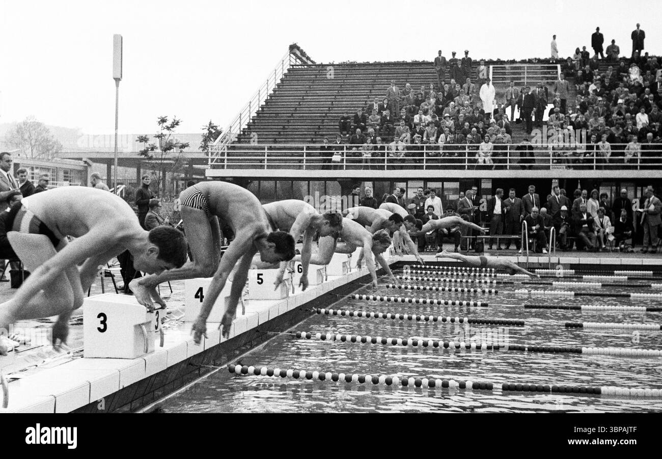Sixties, sports, swimming, West German Championships in July 1965 in ...