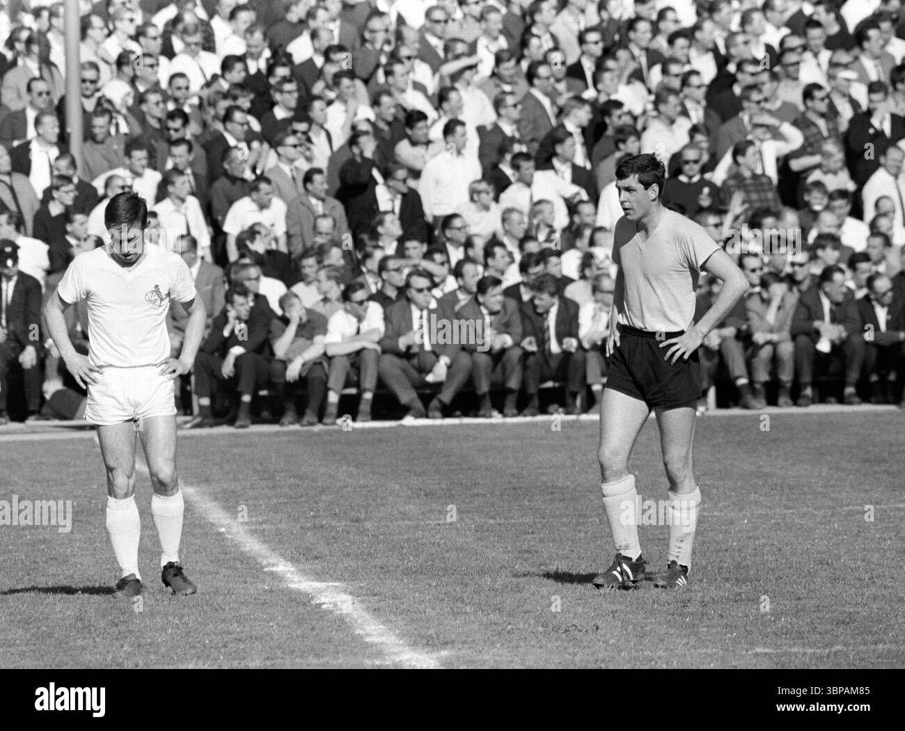 Dortmund germany bvb Black and White Stock Photos & Images - Alamy