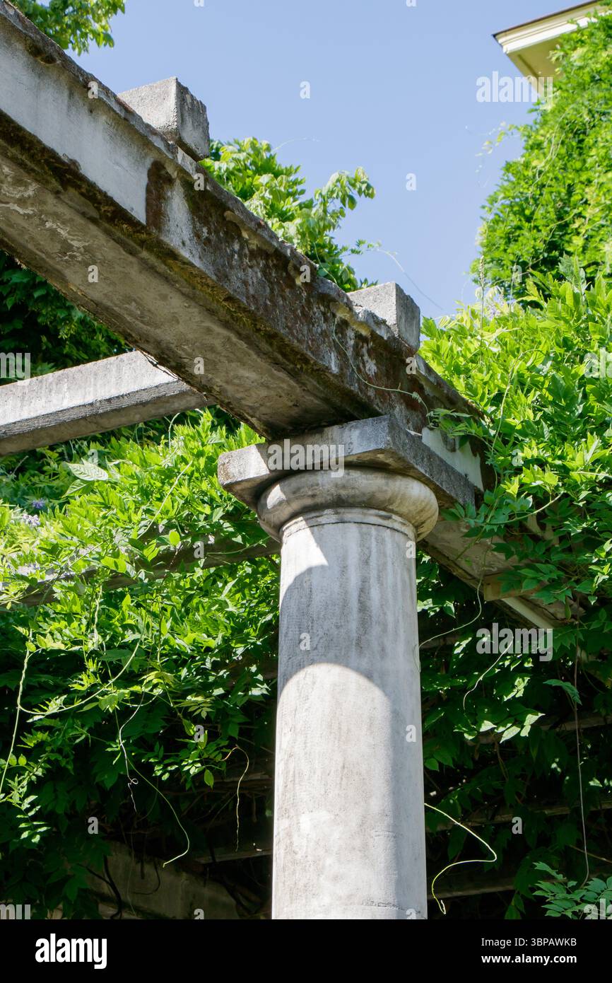 Pergola vines sky green hi-res stock photography and images - Alamy