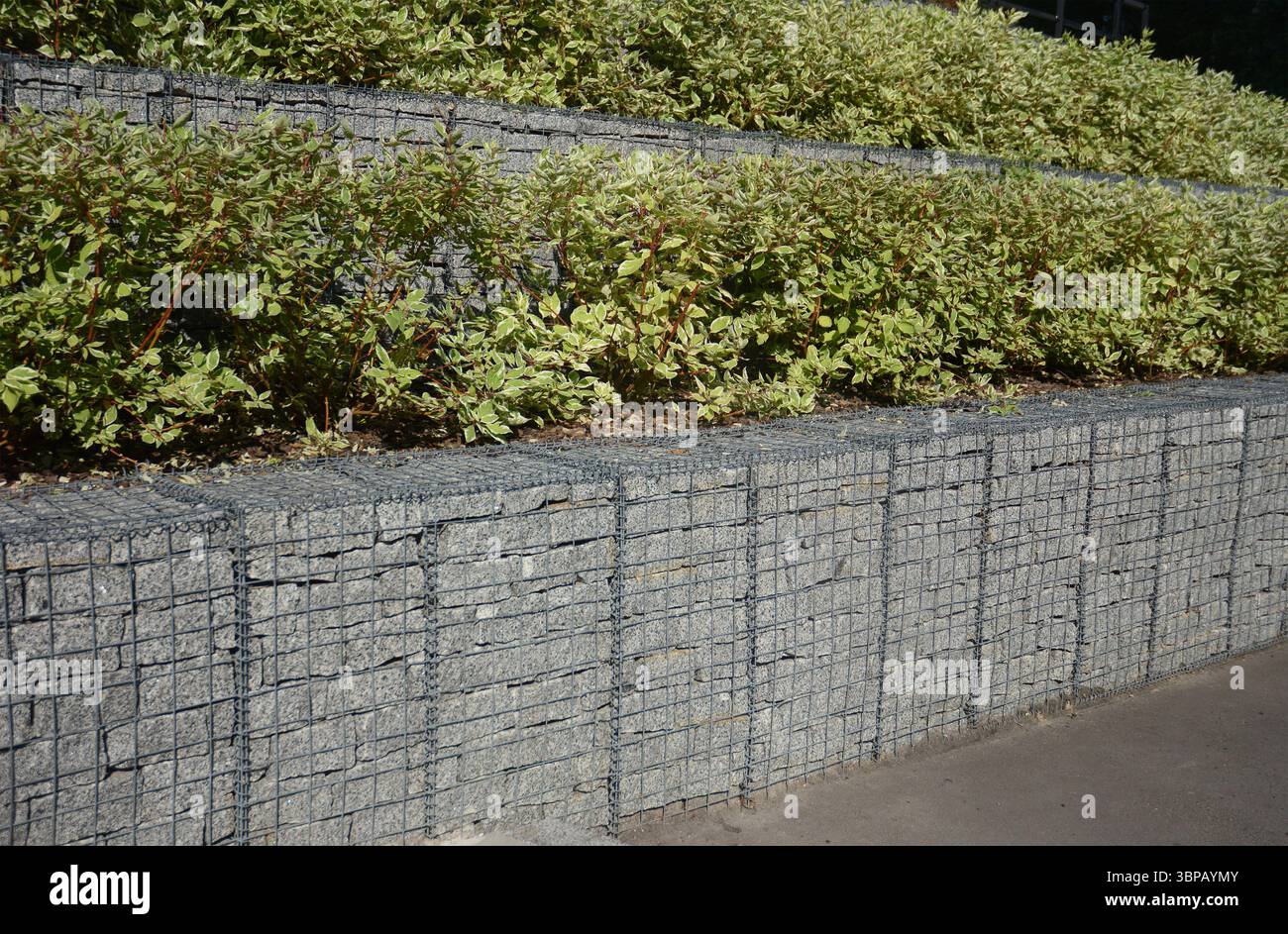 Modern gabion fence wall with stones in wire mesh in the garden design ...
