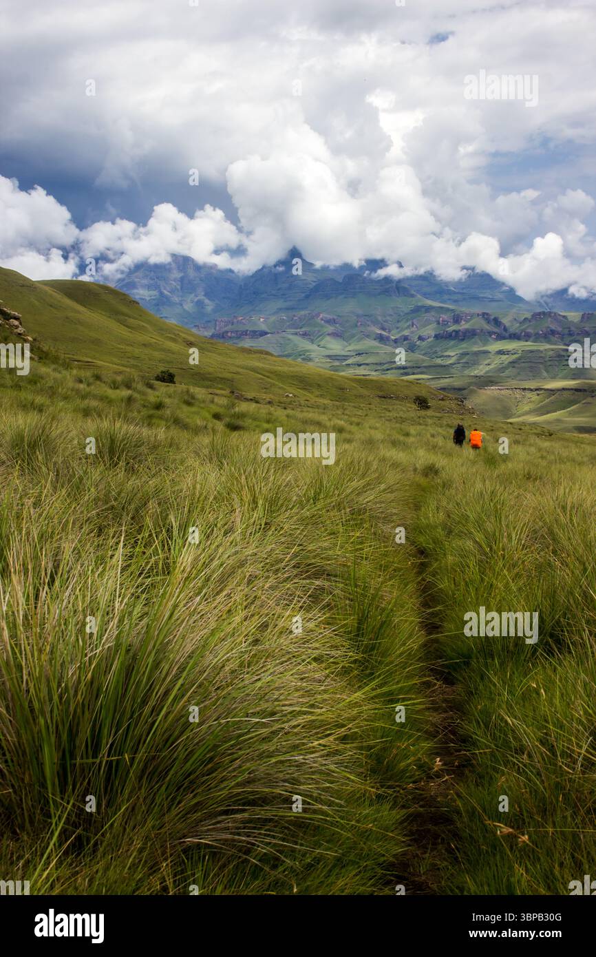 Hikers walking among the tall grasses towards the hidden peaks of the ...