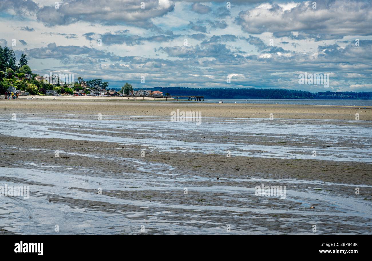 A view of waterfront home at Dash Point, Washington. The tide is low ...