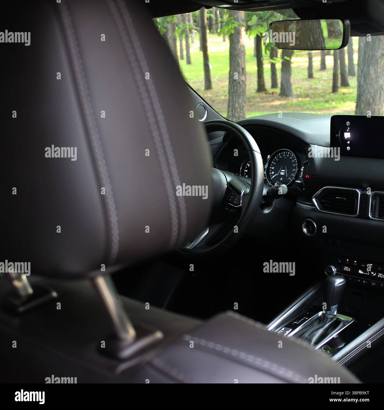 View from behind the passenger seat headrest to trees visible through ...
