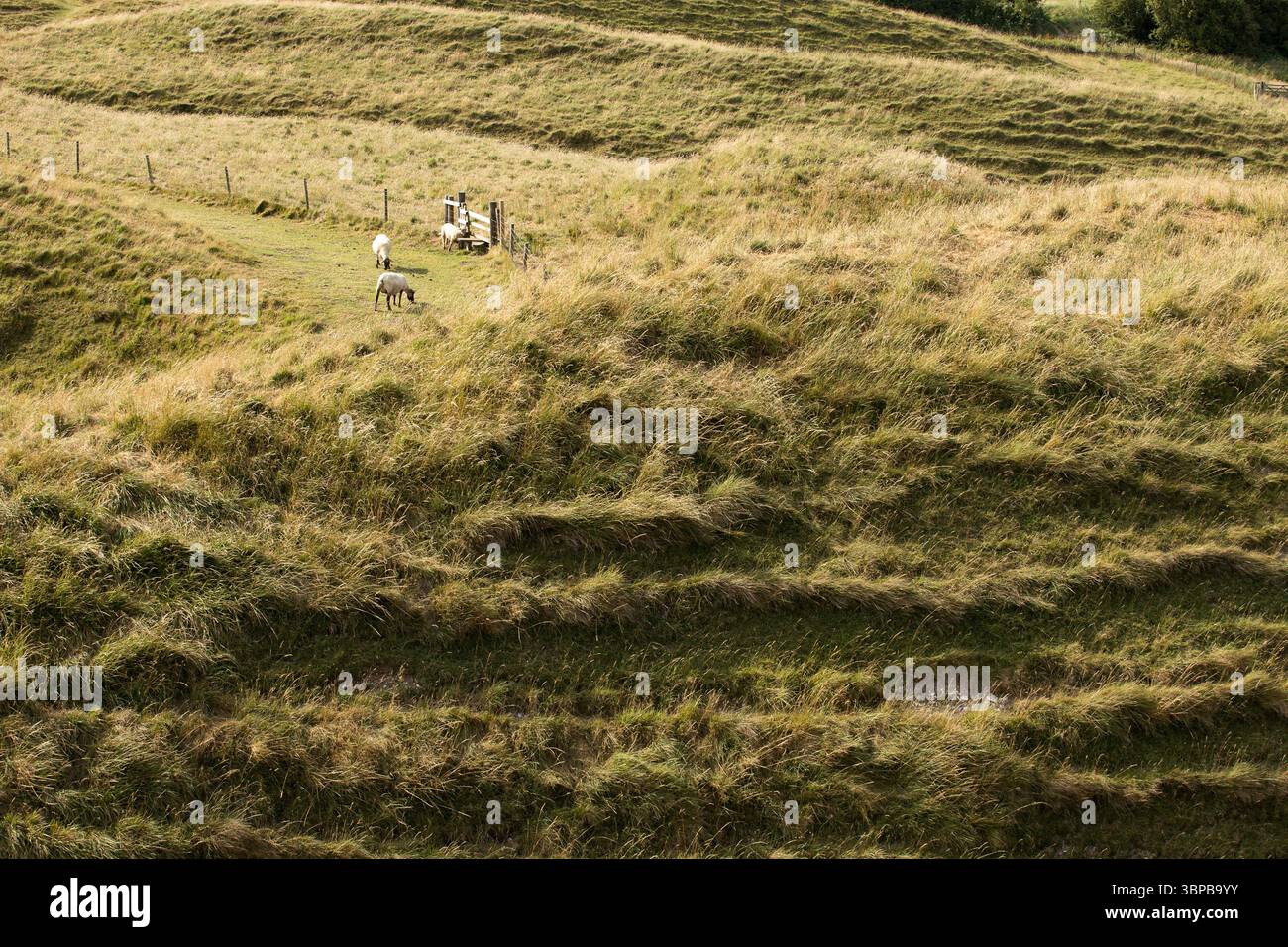 Maiden Castle in Dorset is one of the largest and most complex Iron Age ...