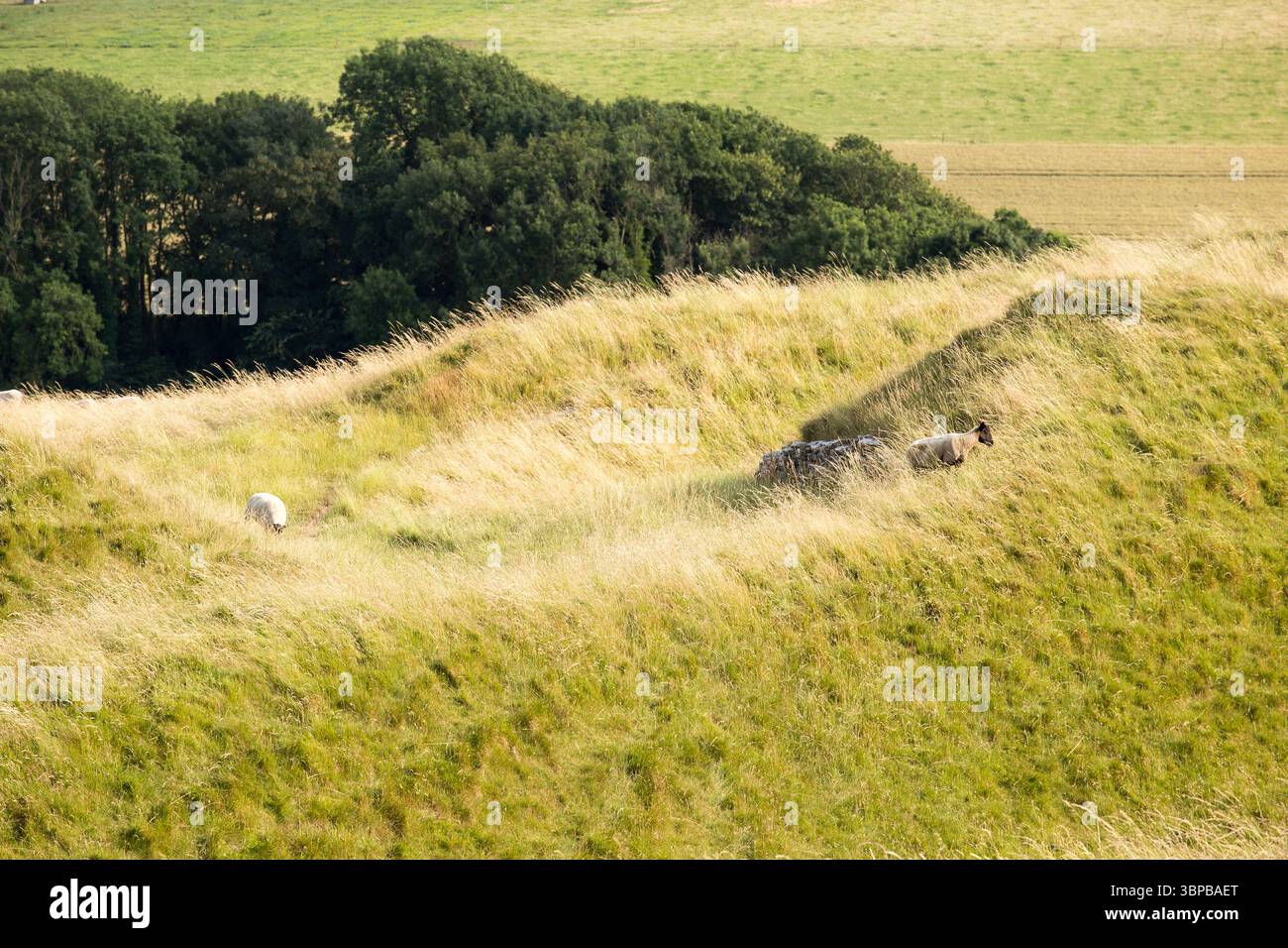 Maiden Castle in Dorset is one of the largest and most complex Iron Age ...